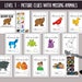 Printable Adapted Brown Bear Book, Special Education, Visually Impaired ...
