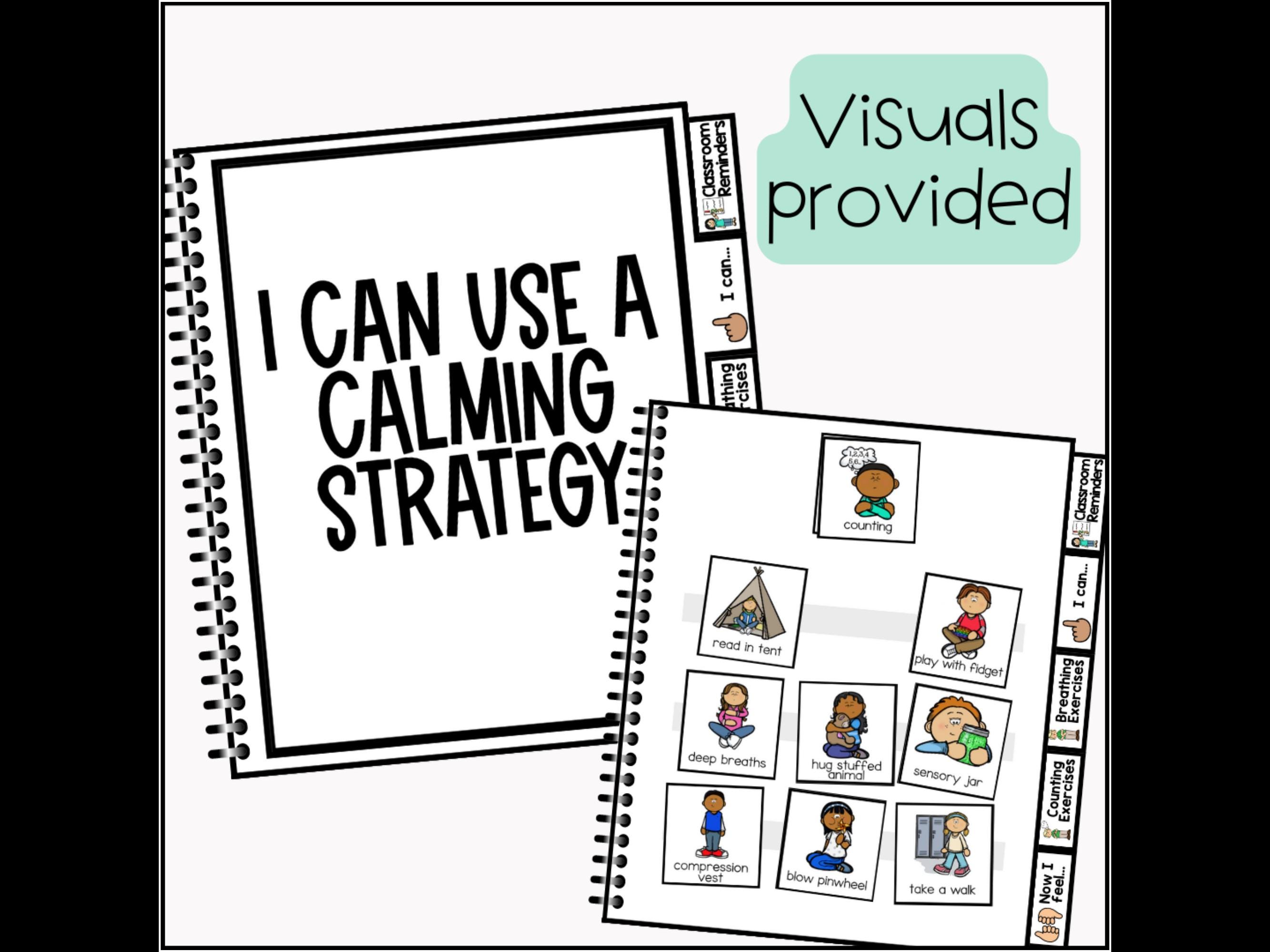 Calm Down Flipbook, Calming Strategies, Special Education, Autism ...