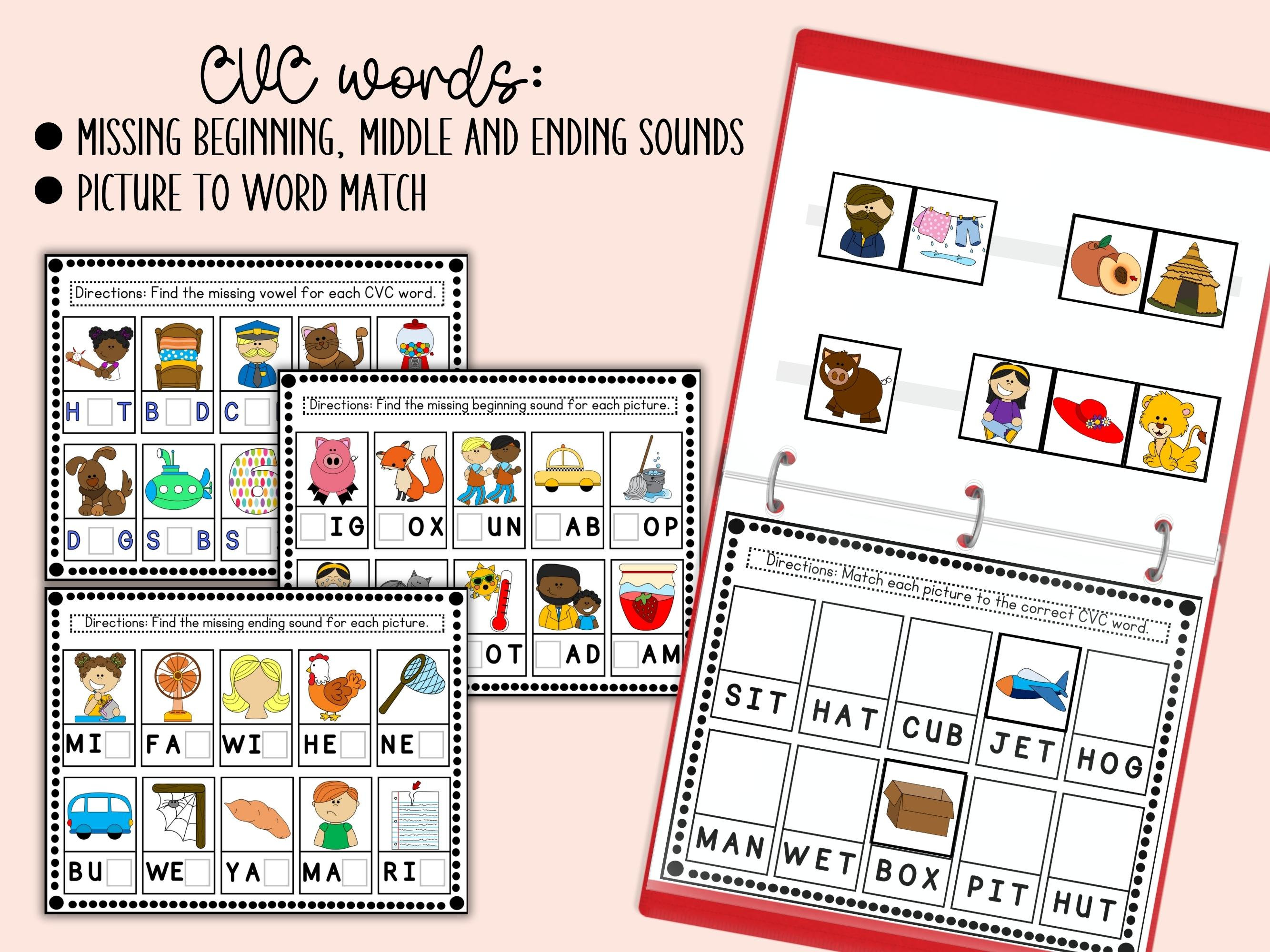 IEP Skills Binder, Printable IEP Goal Assessments, Basic Skills ...