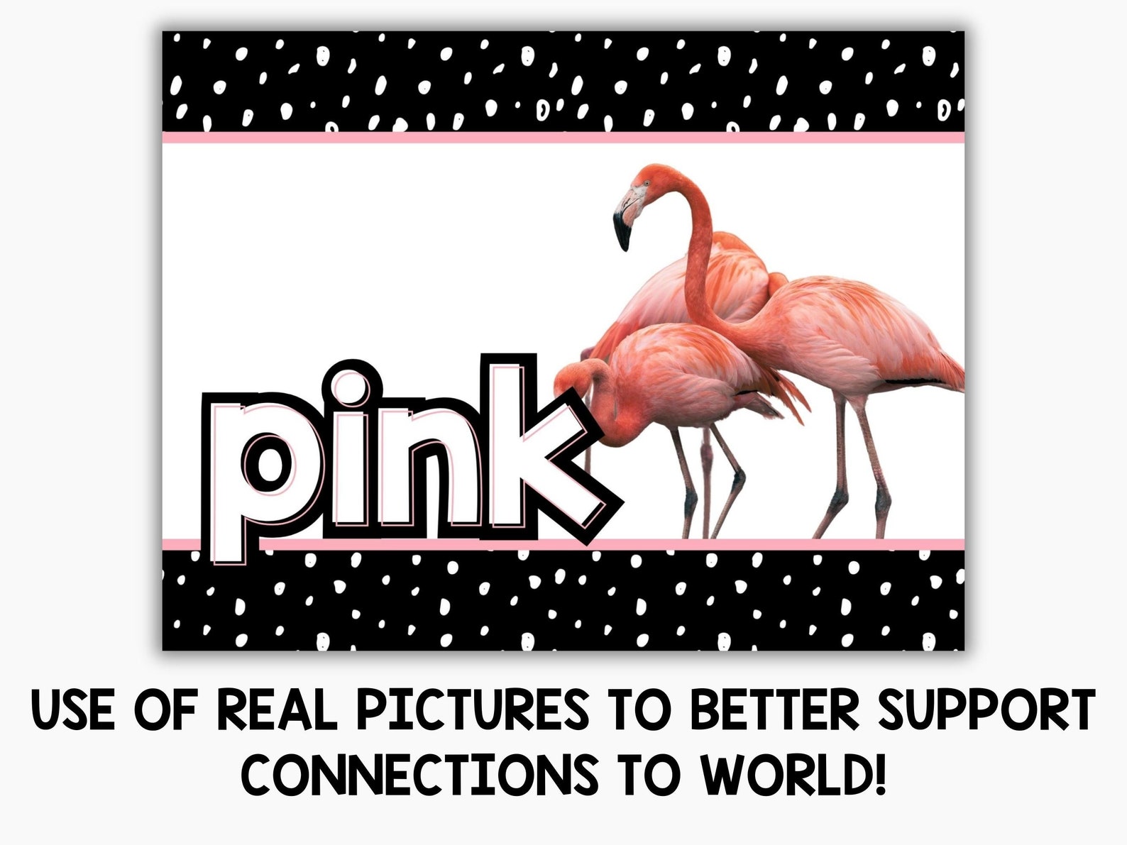 Printable Classroom Decor, Boho Color Posters, Real Picture Decor ...