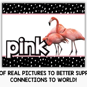 Printable Classroom Decor, Boho Color Posters, Real Picture Decor ...