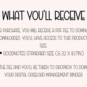 Digital SELF CONTAINED Rainbow Special Education Planner, Caseload and ...