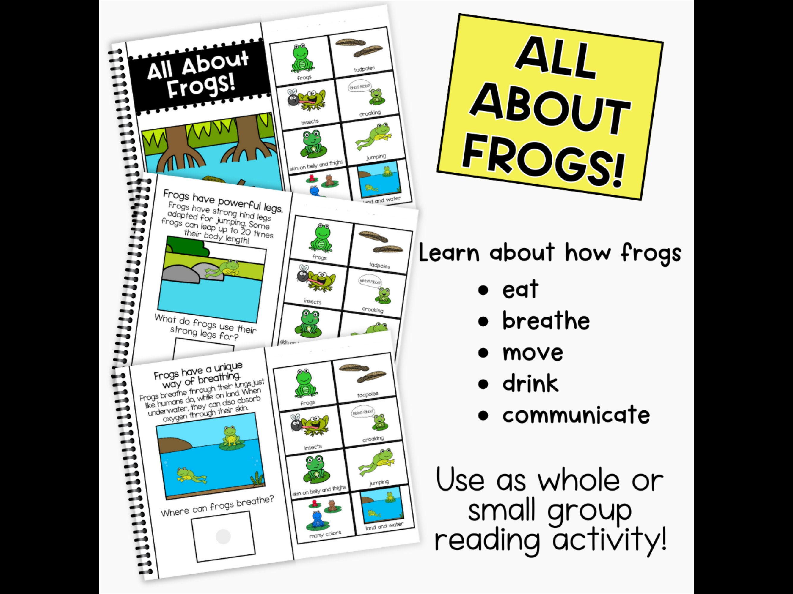 Frog Life Cycle Adapted Activities, Special Education Interactive Books ...