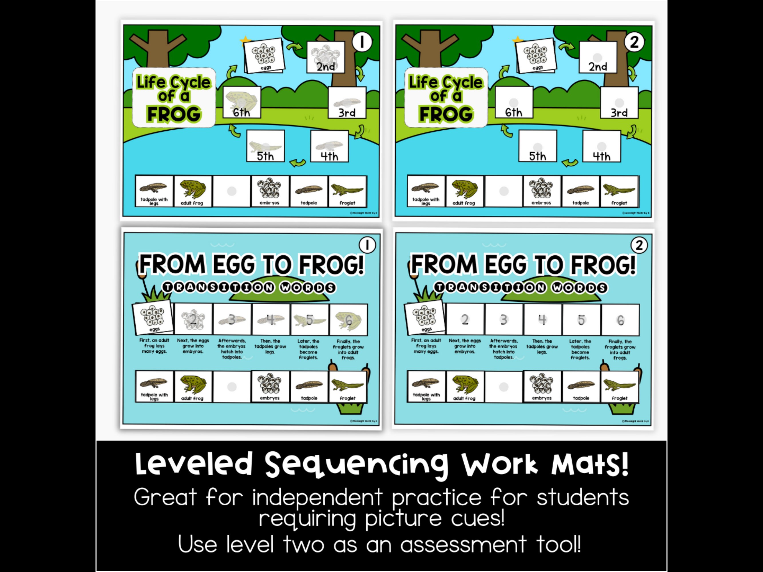 Frog Life Cycle Adapted Activities, Special Education Interactive Books ...