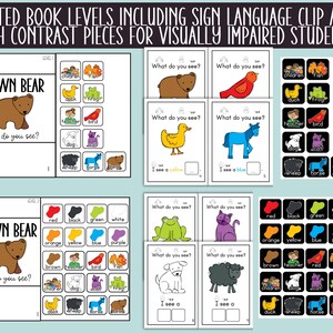 Printable Adapted Brown Bear Activities, Adapted Brown Bear Book ...