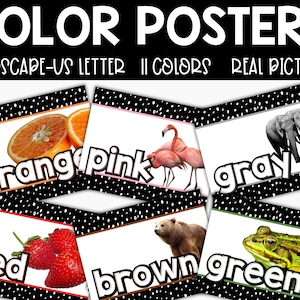 Printable Classroom Decor, Boho Color Posters, Real Picture Decor ...