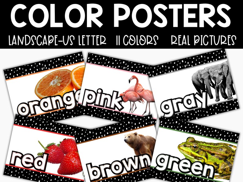 Printable Classroom Decor, Boho Color Posters, Real Picture Decor ...