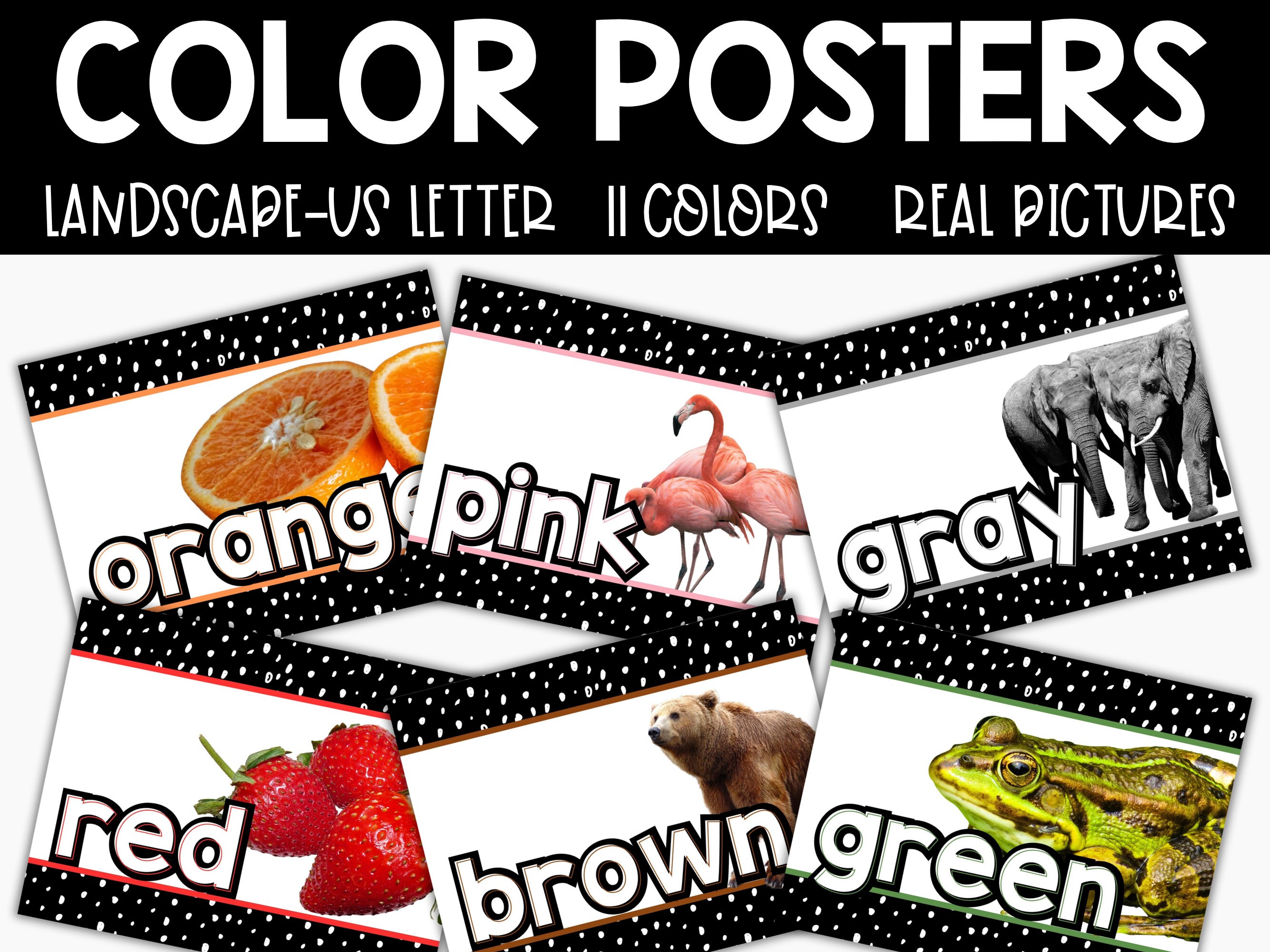 Printable Classroom Decor, Boho Color Posters, Real Picture Decor ...