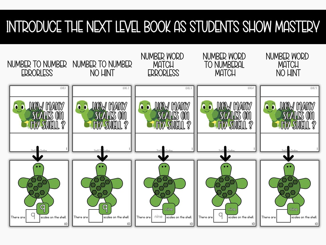 Counting and Number Identification Adapted Book Bundle, Special ...