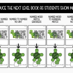 Counting and Number Identification Adapted Book Bundle, Special ...