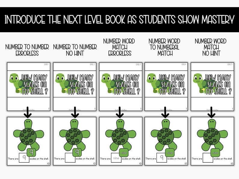 Counting and Number Identification Adapted Book Bundle, Special ...