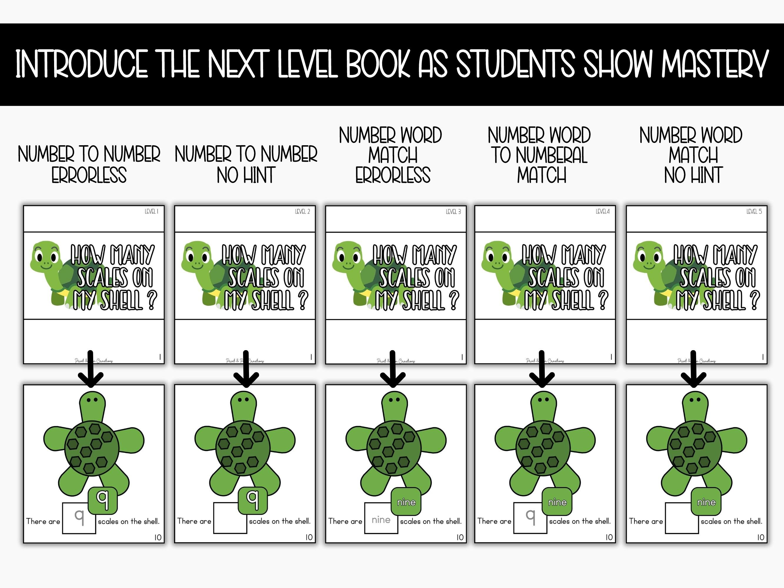 Counting and Number Identification Adapted Book Bundle, Special ...