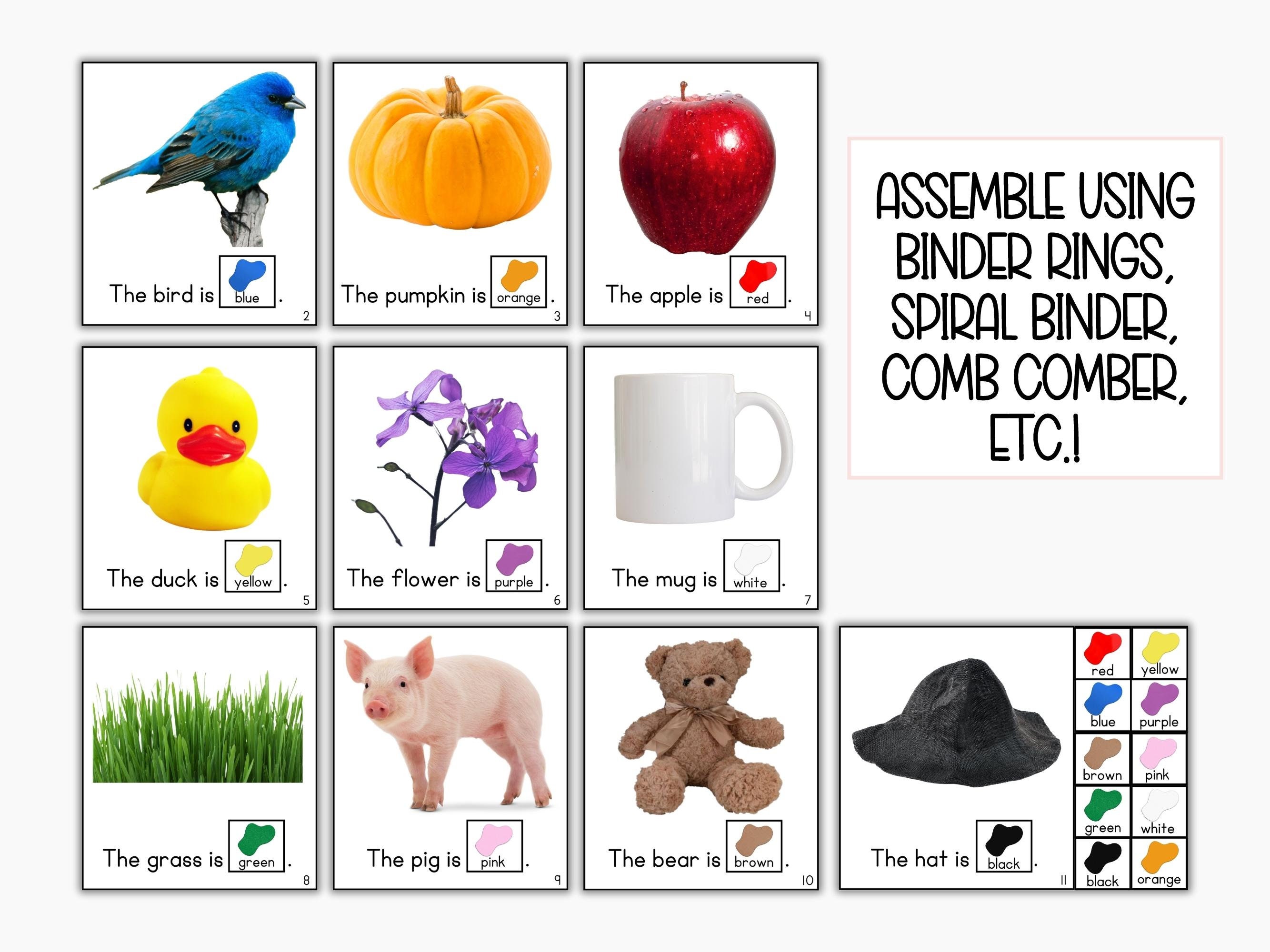 Color Identification Adapted Book, Special Education Resources, Adapted ...