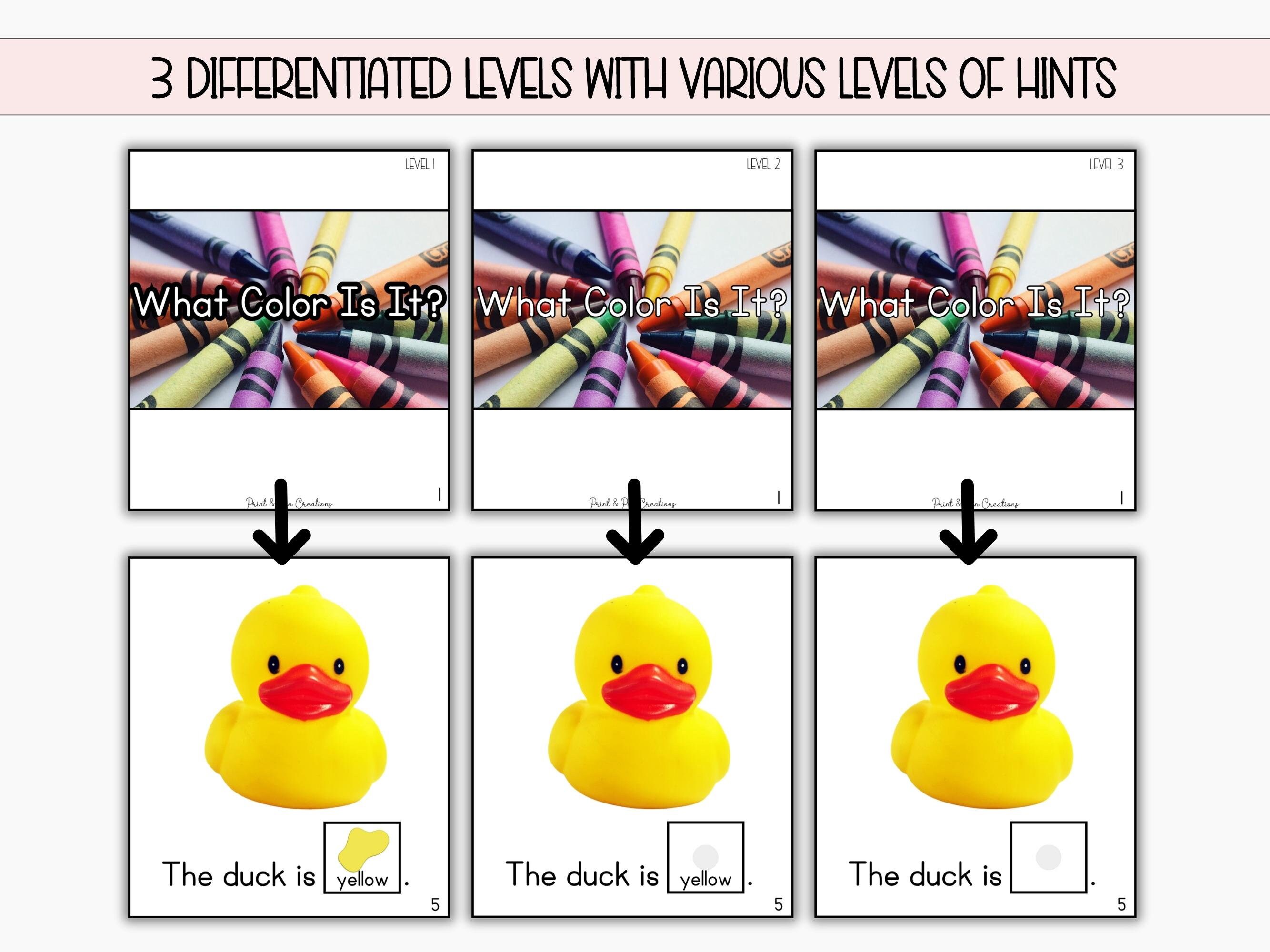 Color Identification Adapted Book, Special Education Resources, Adapted ...