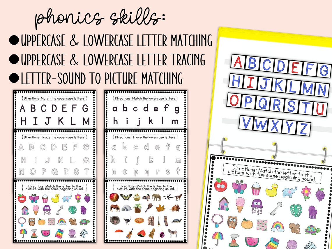 IEP Skills Binder, Printable IEP Goal Assessments, Basic Skills ...