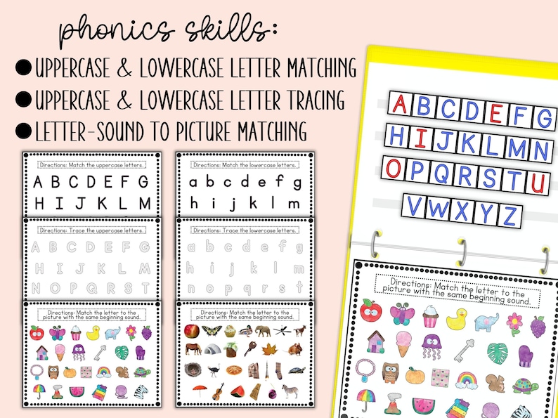 IEP Skills Binder, Printable IEP Goal Assessments, Basic Skills ...