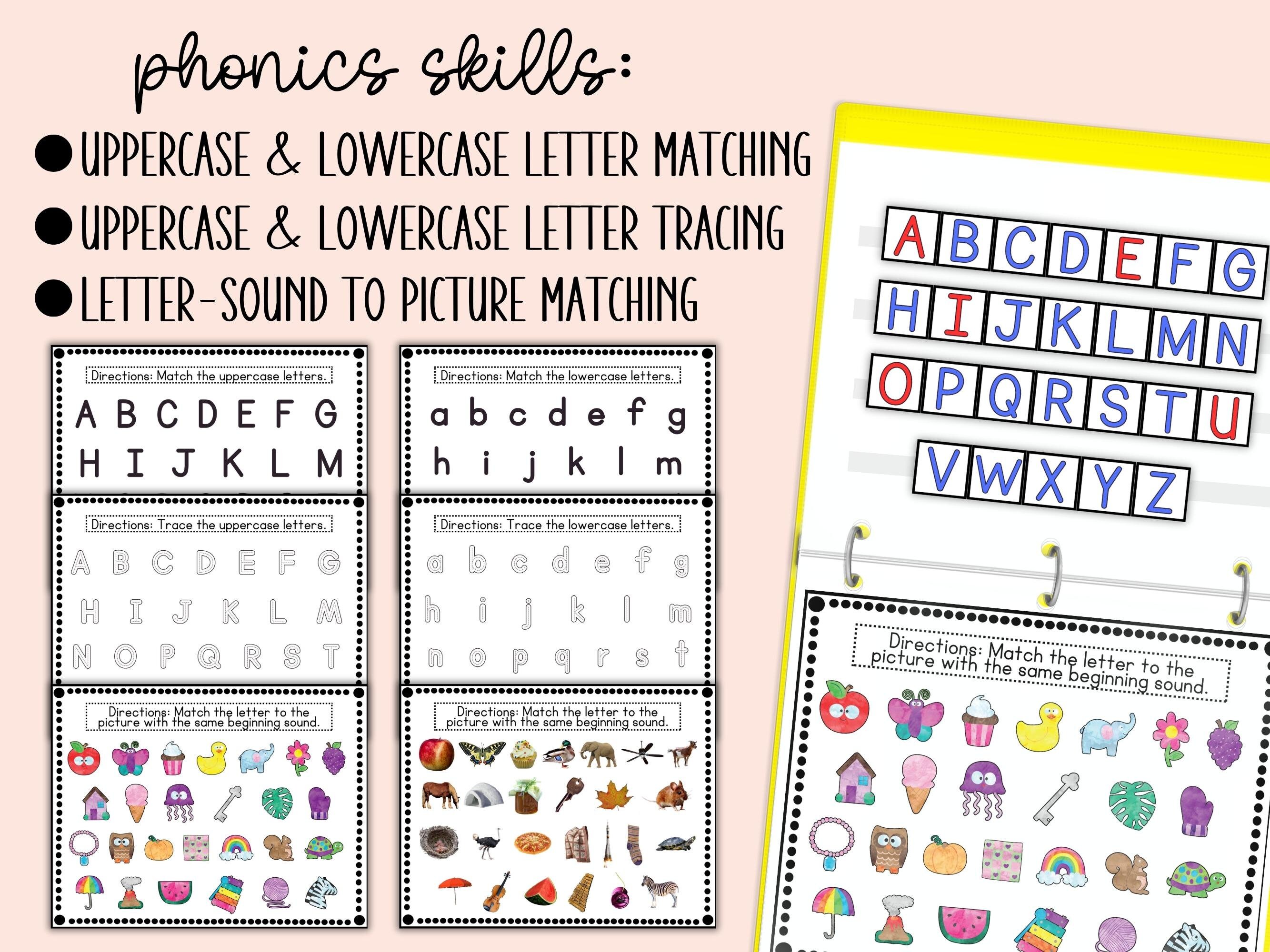 IEP Skills Binder, Printable IEP Goal Assessments, Basic Skills ...