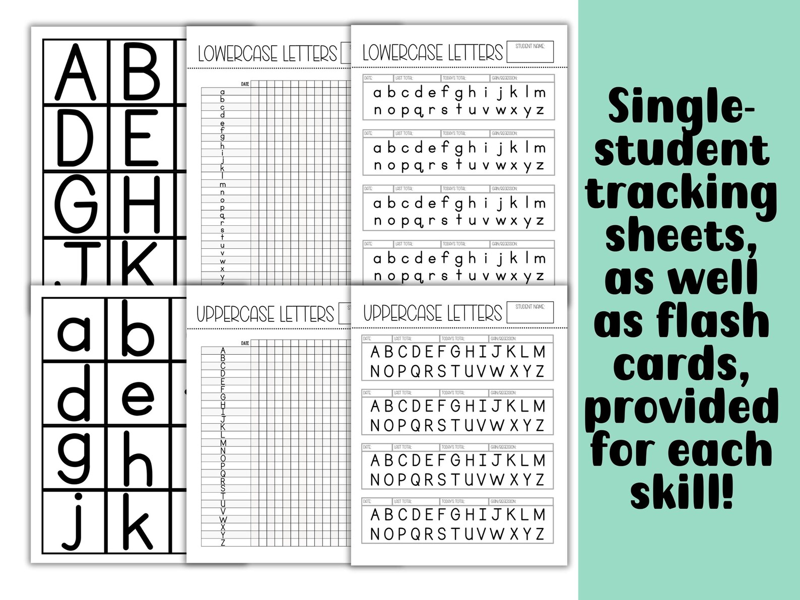 Student Data Tracker, Basic Skills Assessment, IEP Goal Tracker, Basic ...