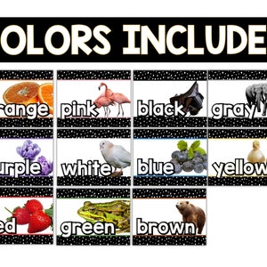 Printable Classroom Decor, Boho Color Posters, Real Picture Decor ...