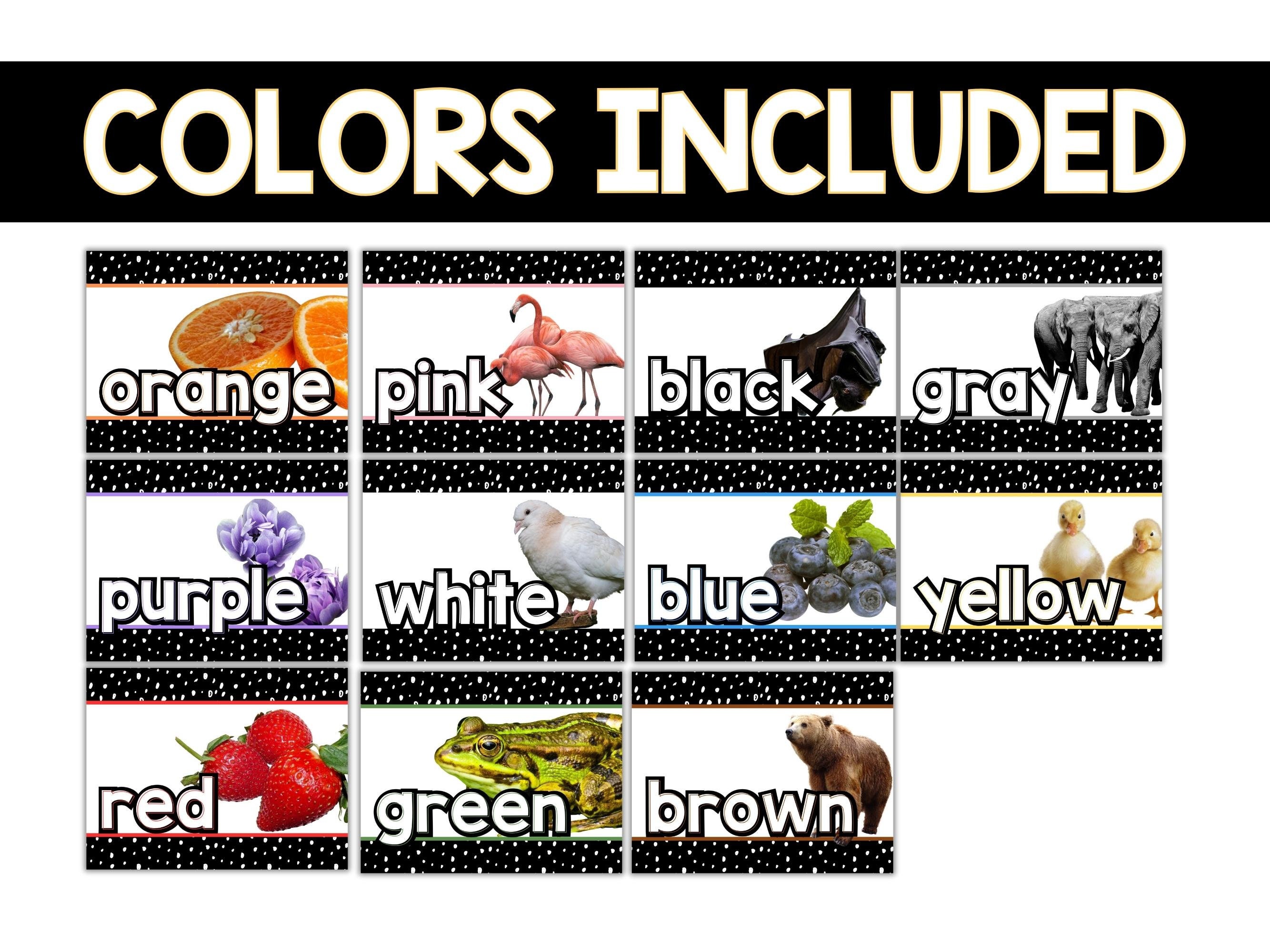 Printable Classroom Decor, Boho Color Posters, Real Picture Decor ...