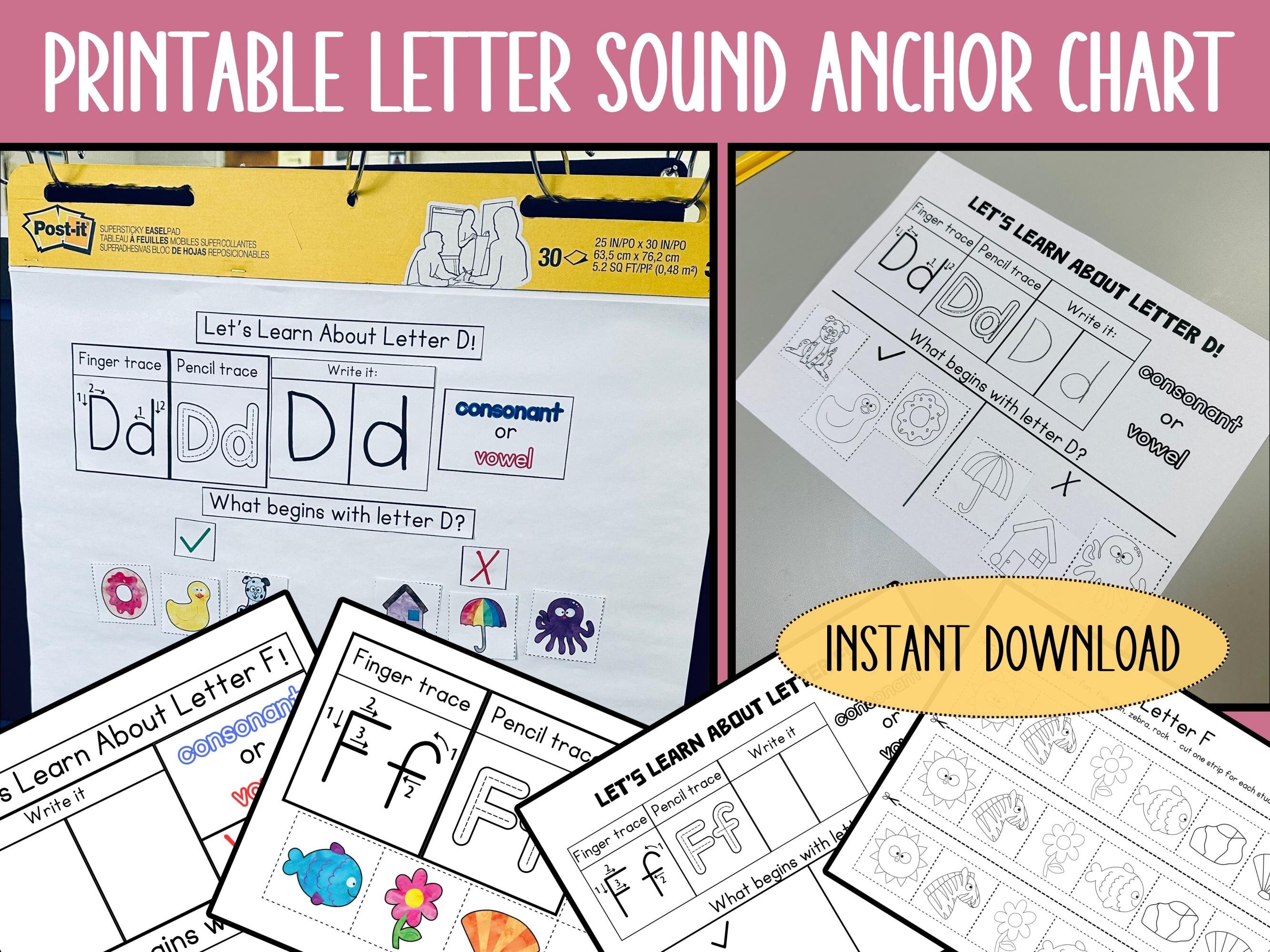 Phonics Anchor Chart Printable Letter Sound Guided Reading - Etsy Canada