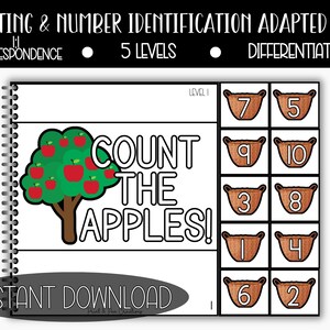 Counting and Number Identification Adapted Book Special - Etsy