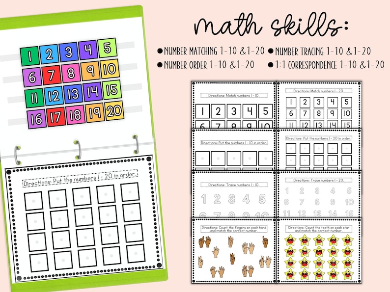 IEP Skills Binder, Printable IEP Goal Assessments, Basic Skills ...