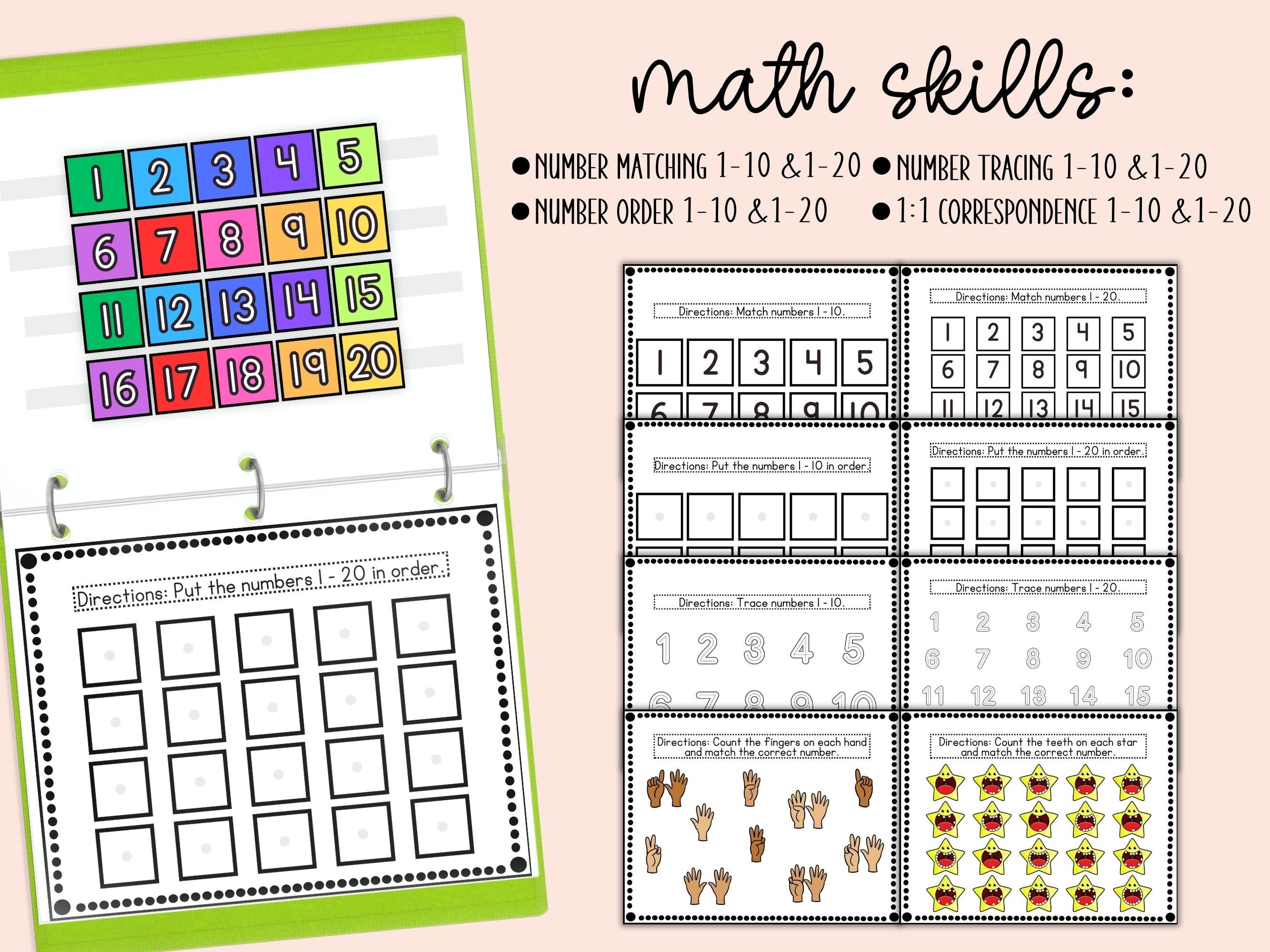 IEP Skills Binder, Printable IEP Goal Assessments, Basic Skills ...