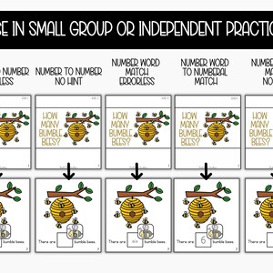 Counting and Number Identification Adapted Book Bundle, Special ...