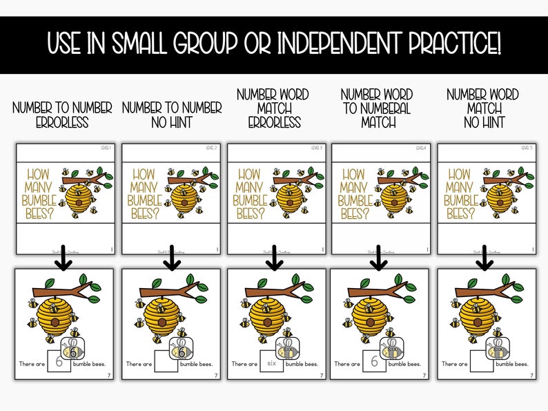 Counting and Number Identification Adapted Book Bundle, Special ...