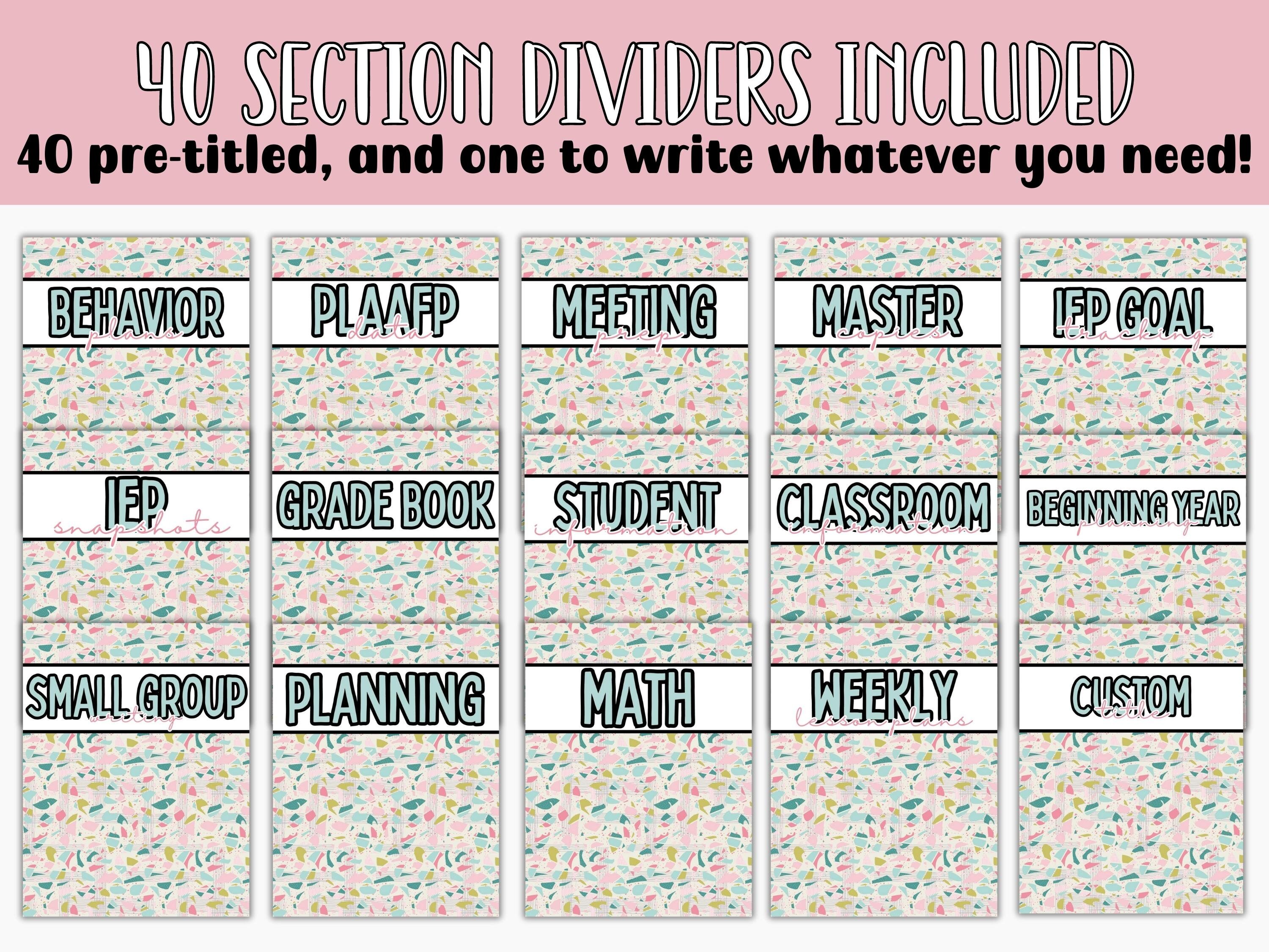 Editable Self Contained Special Education Planner, Terrazzo Teacher ...