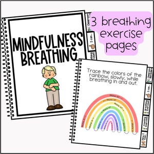 Calm Down Flipbook, Calming Strategies, Special Education, Autism ...