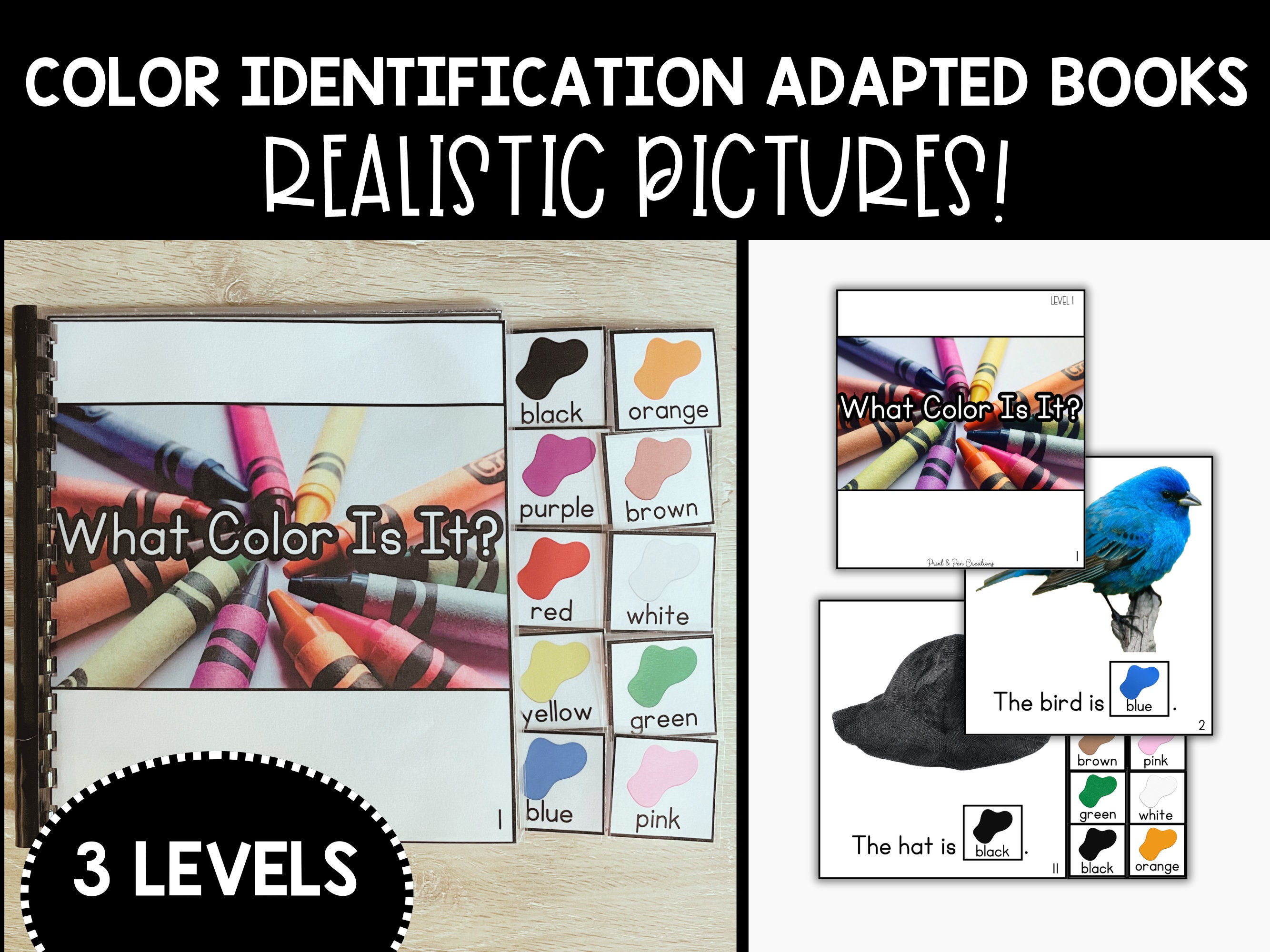 Color Identification Adapted Book, Special Education Resources, Adapted ...