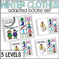 Rhyming Words Interactive Book for Special Education - Etsy