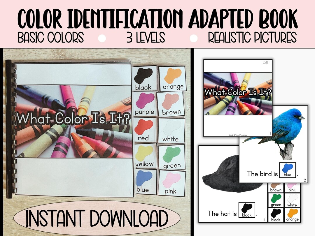Color Identification Adapted Book Special Education - Etsy