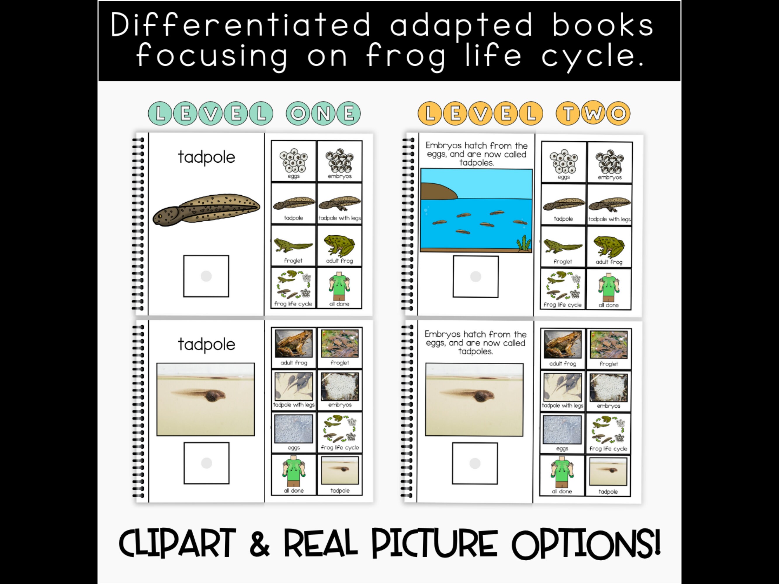 Frog Life Cycle Adapted Activities, Special Education Interactive Books ...