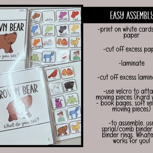 Printable Adapted Brown Bear Book, Special Education, Visually Impaired ...
