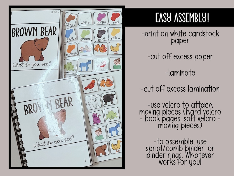 Printable Adapted Brown Bear Book, Special Education, Visually Impaired ...
