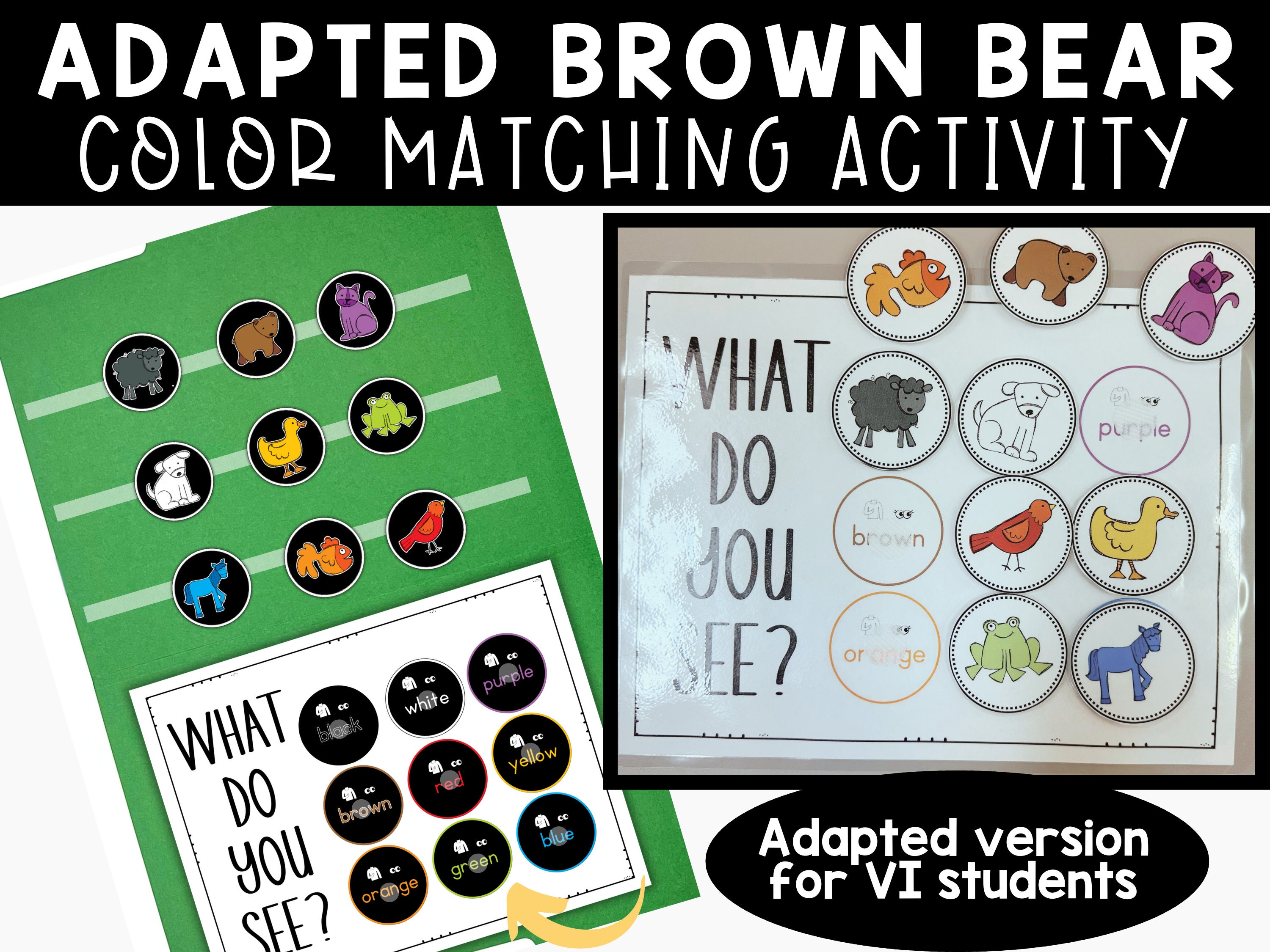 Printable Adapted Brown Bear Color Matching Activity, Special Education ...