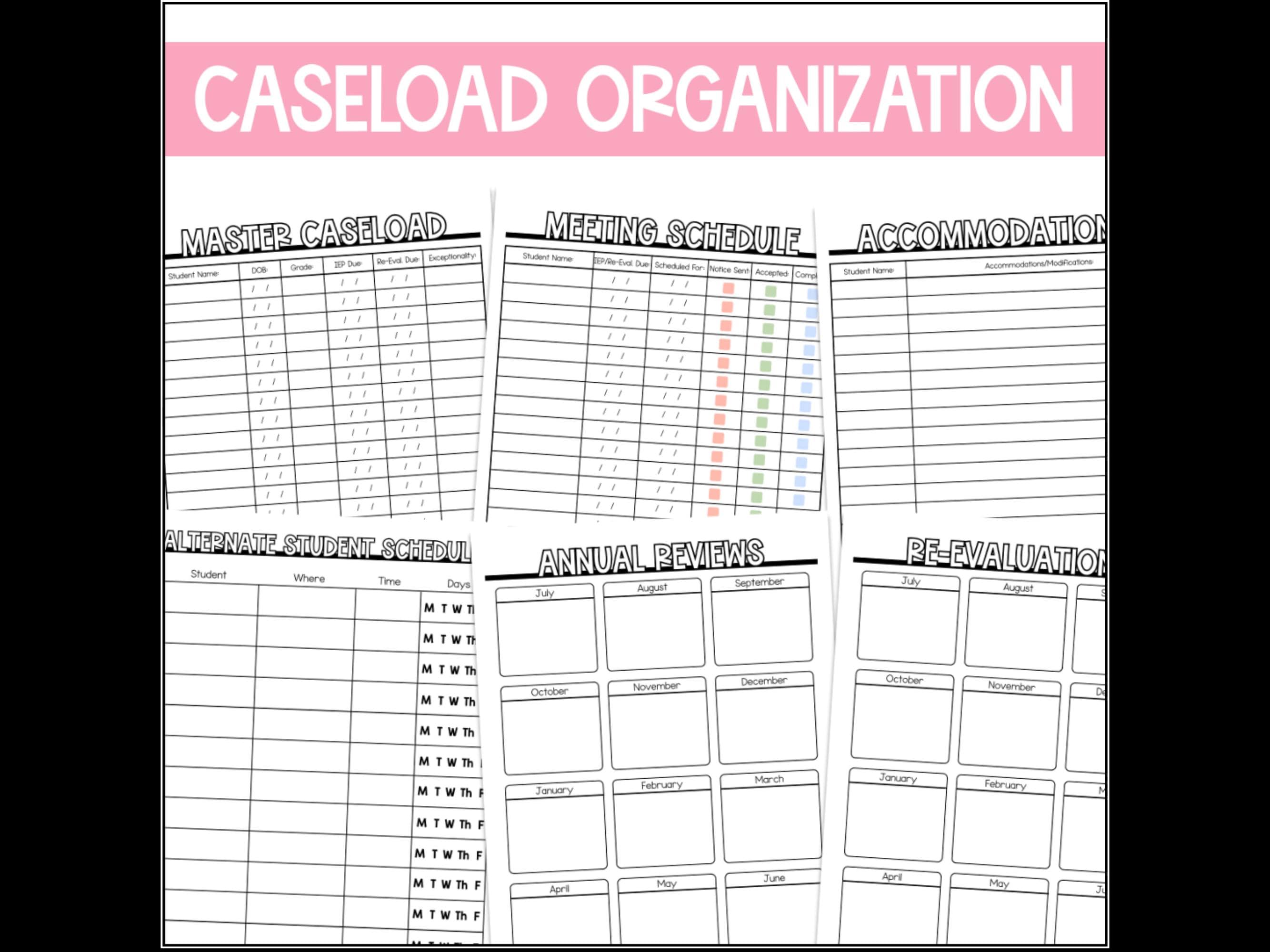 Checkered Special Education Planner, Self-contained Teacher Binder, IEP ...