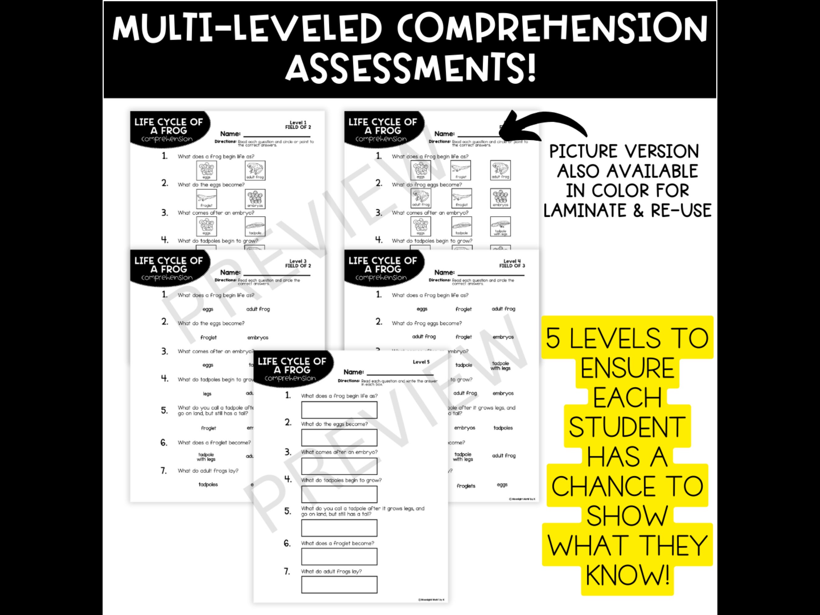 Frog Life Cycle Adapted Activities, Special Education Interactive Books ...