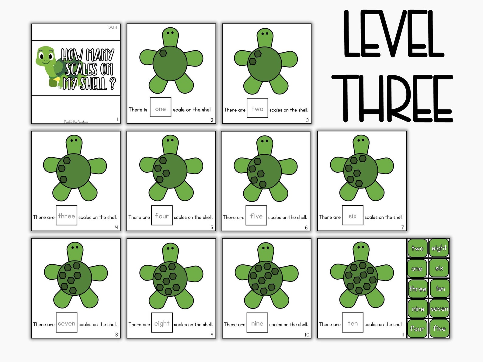 Counting and Number Identification Adapted Book Bundle, Special ...