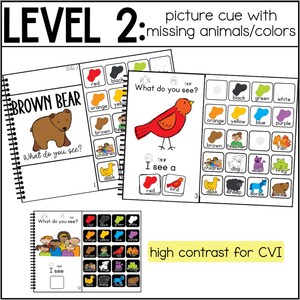 Printable Adapted Brown Bear Book, Special Education, Visually Impaired ...
