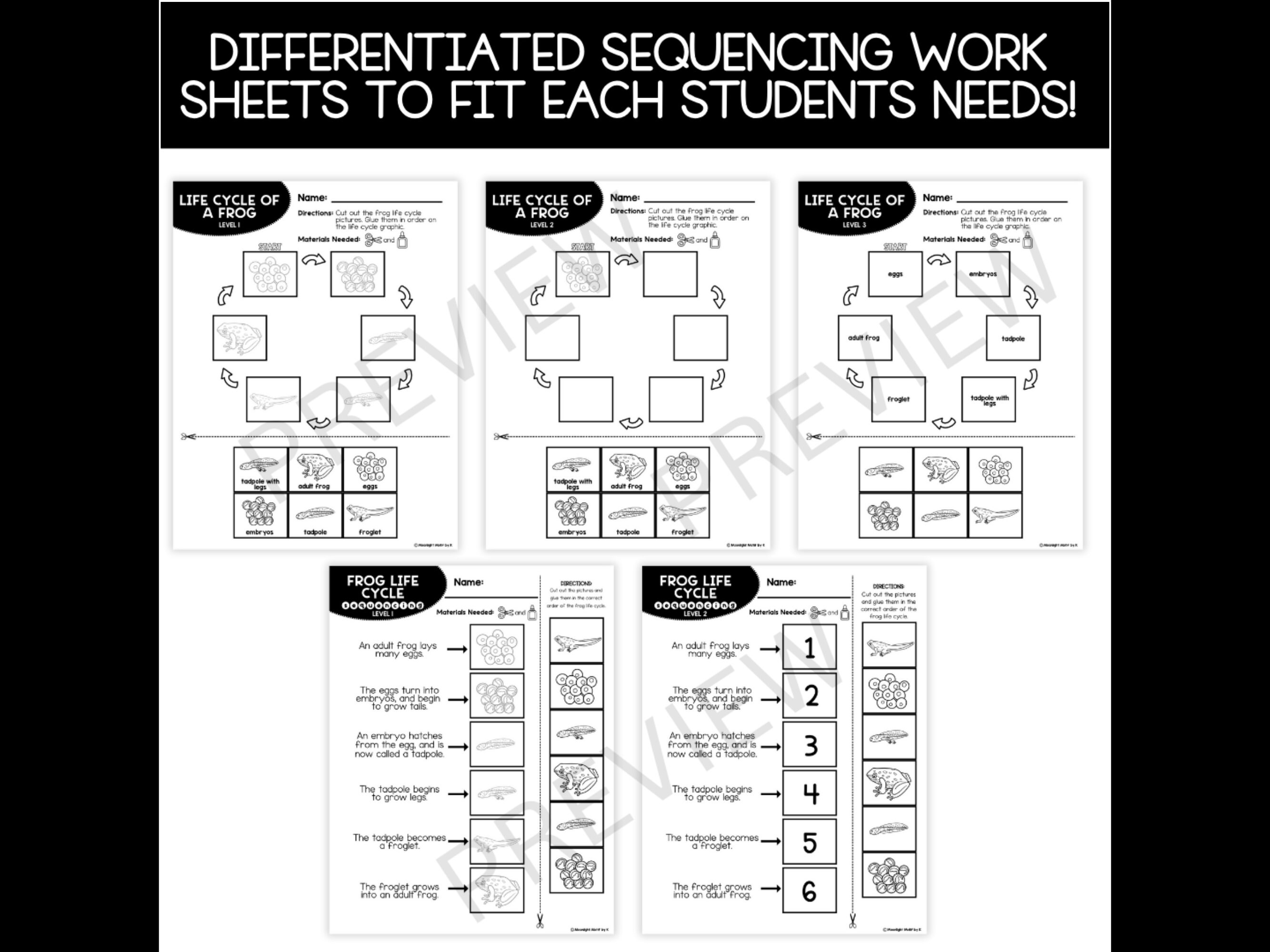 Frog Life Cycle Adapted Activities, Special Education Interactive Books ...