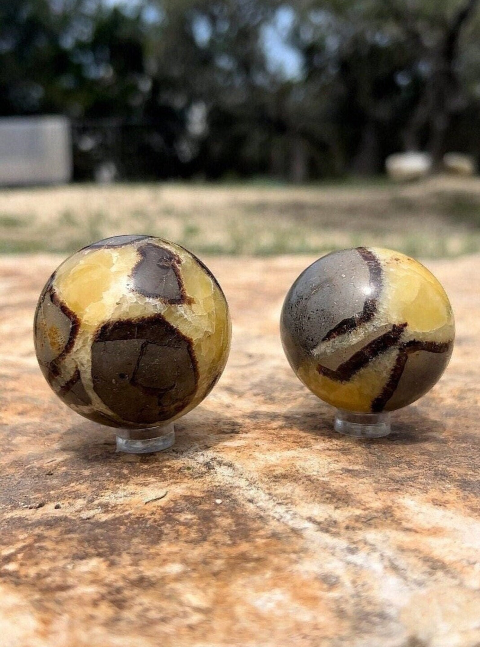 Septarian Spheres: Grounding Stone, Root Chakra - Etsy