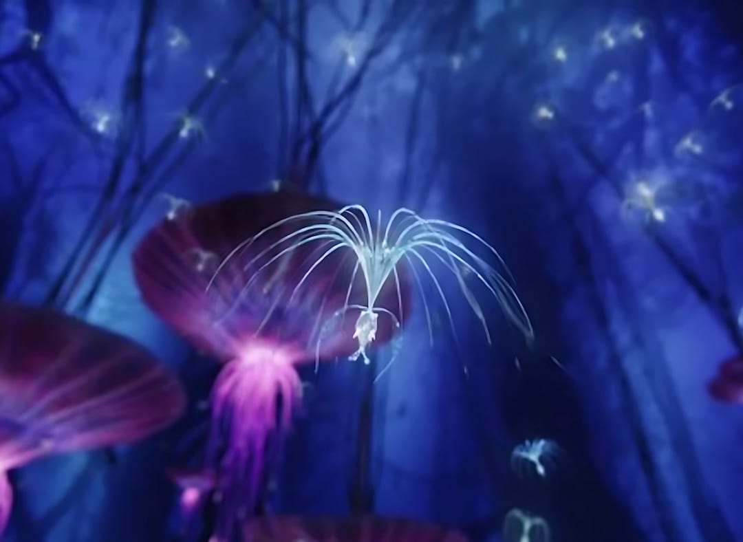 Digital Avatar Pandora Planet Painting Fantasy the Seed of Life Tree ...