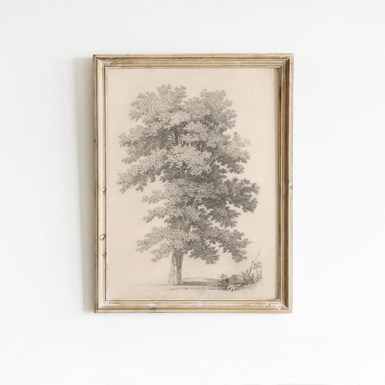 Neutral Vintage Tree Sketch | Vintage Art Print | Farmhouse Wall Art ...