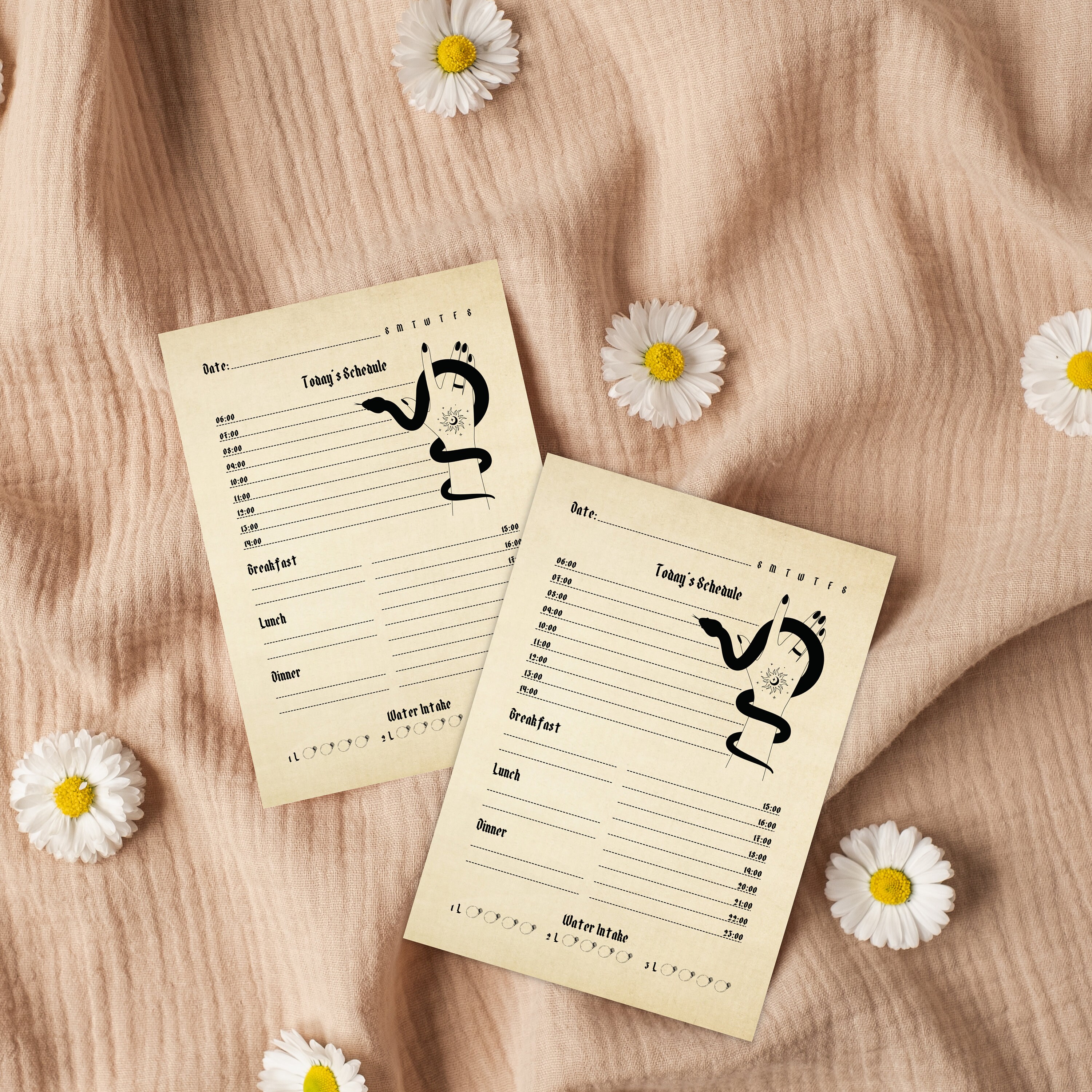 Goth Witchy Daily Planner Card, Printable Hourly Schedule (PDF) - Etsy