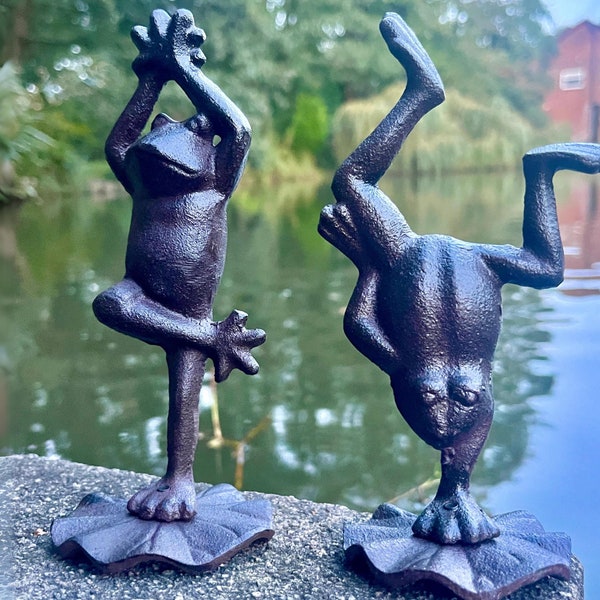 Garden Frogs - Etsy