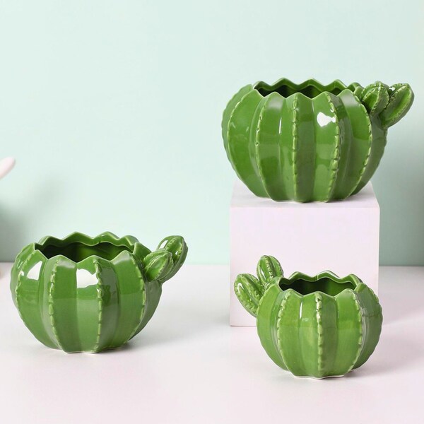 Cactus Planter - Etsy